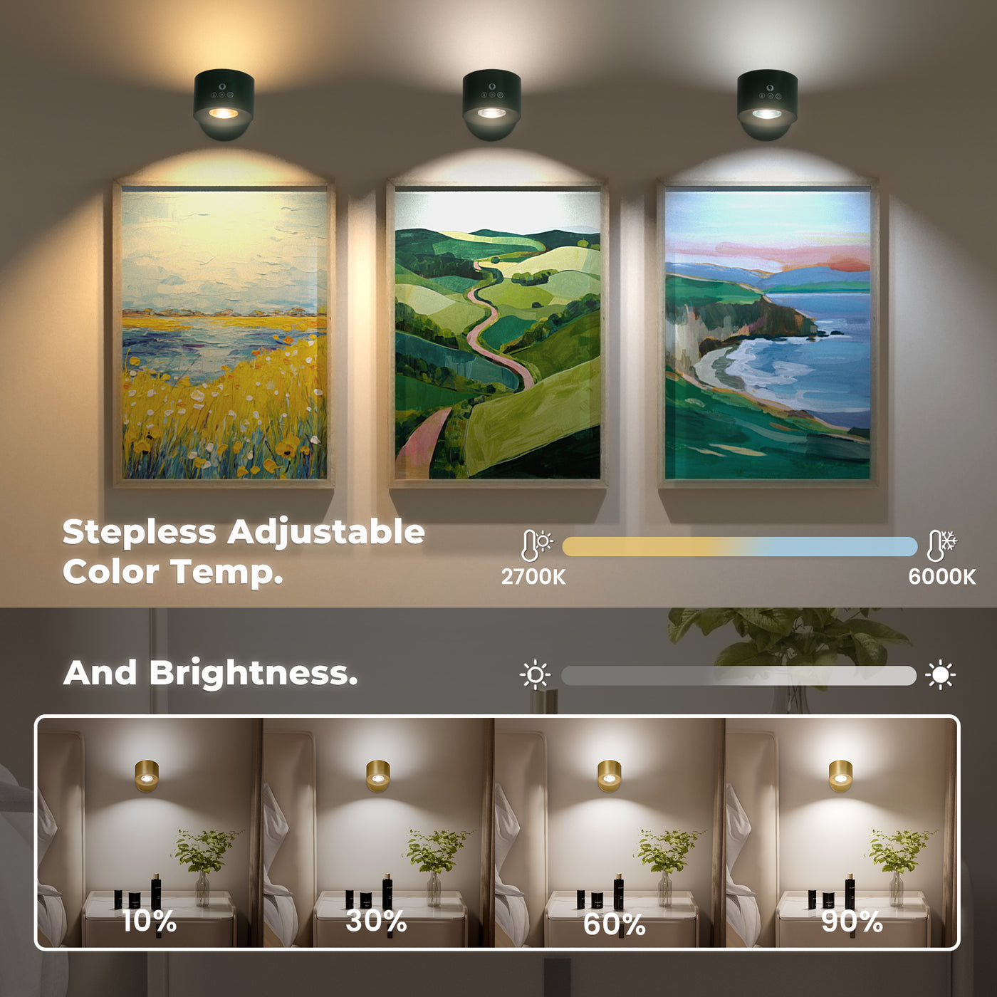 Smart+ Lighting System