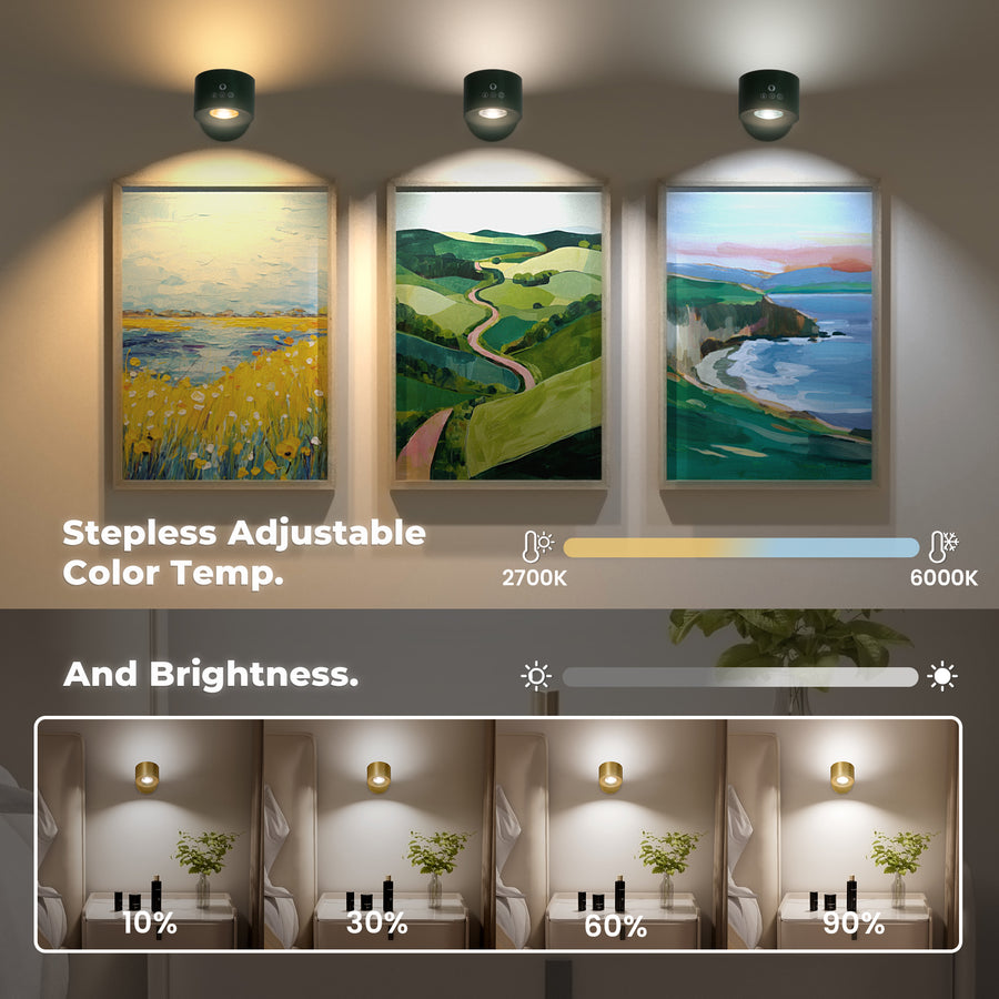 Smart+ Lighting System