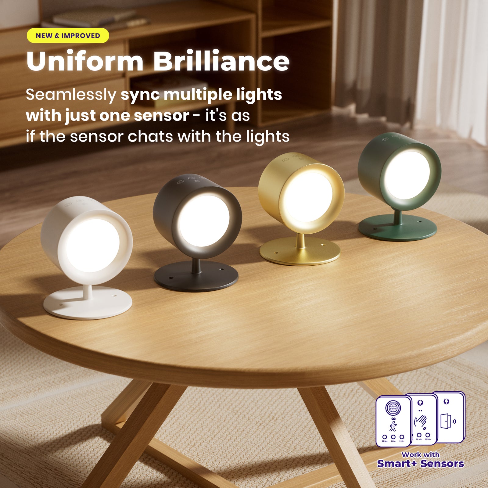 Smart+ Lighting System