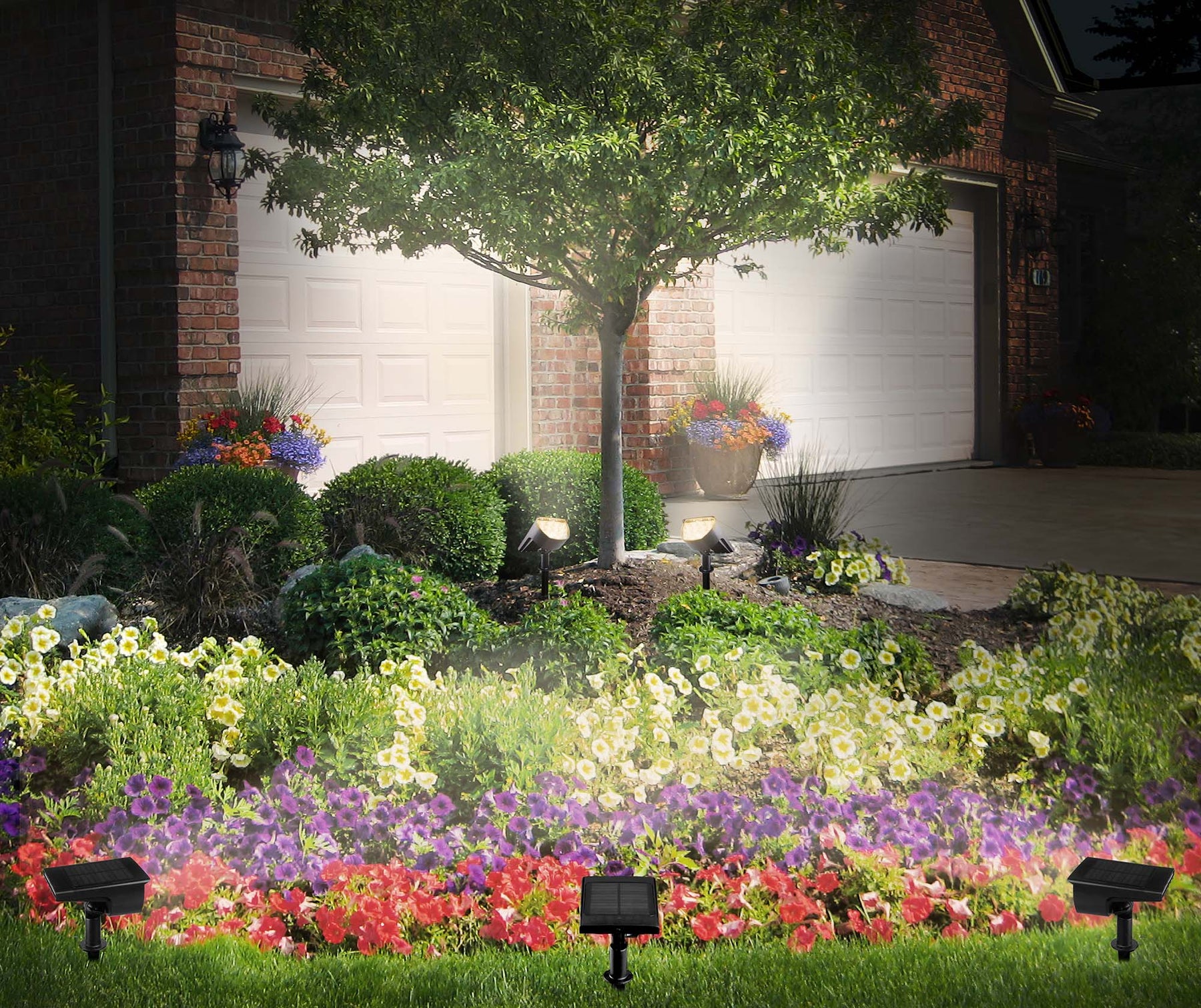 Outdoor Light Collection